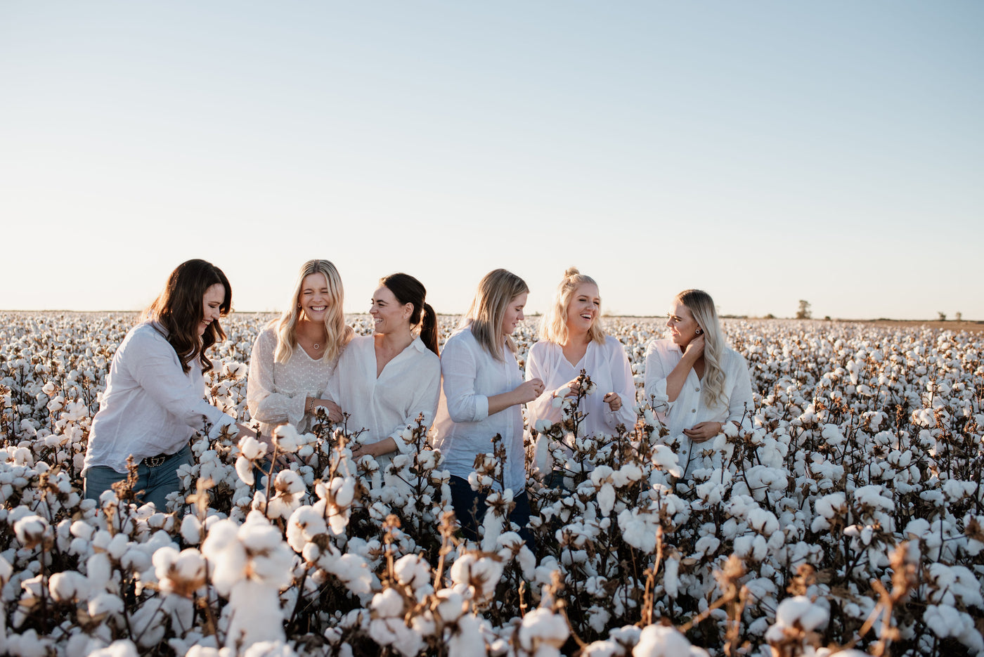 Shea Beauty - The Skin & Beauty Clinic